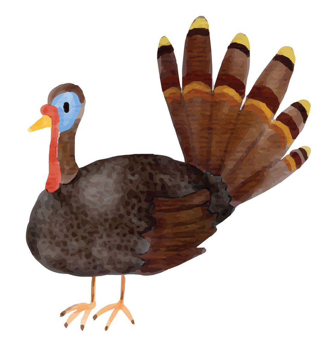 Nutri Spring Whole Turkey Deposit — Inside U